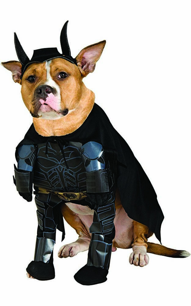 Batman Dark Knight Pet Dog Costume - RUBIES